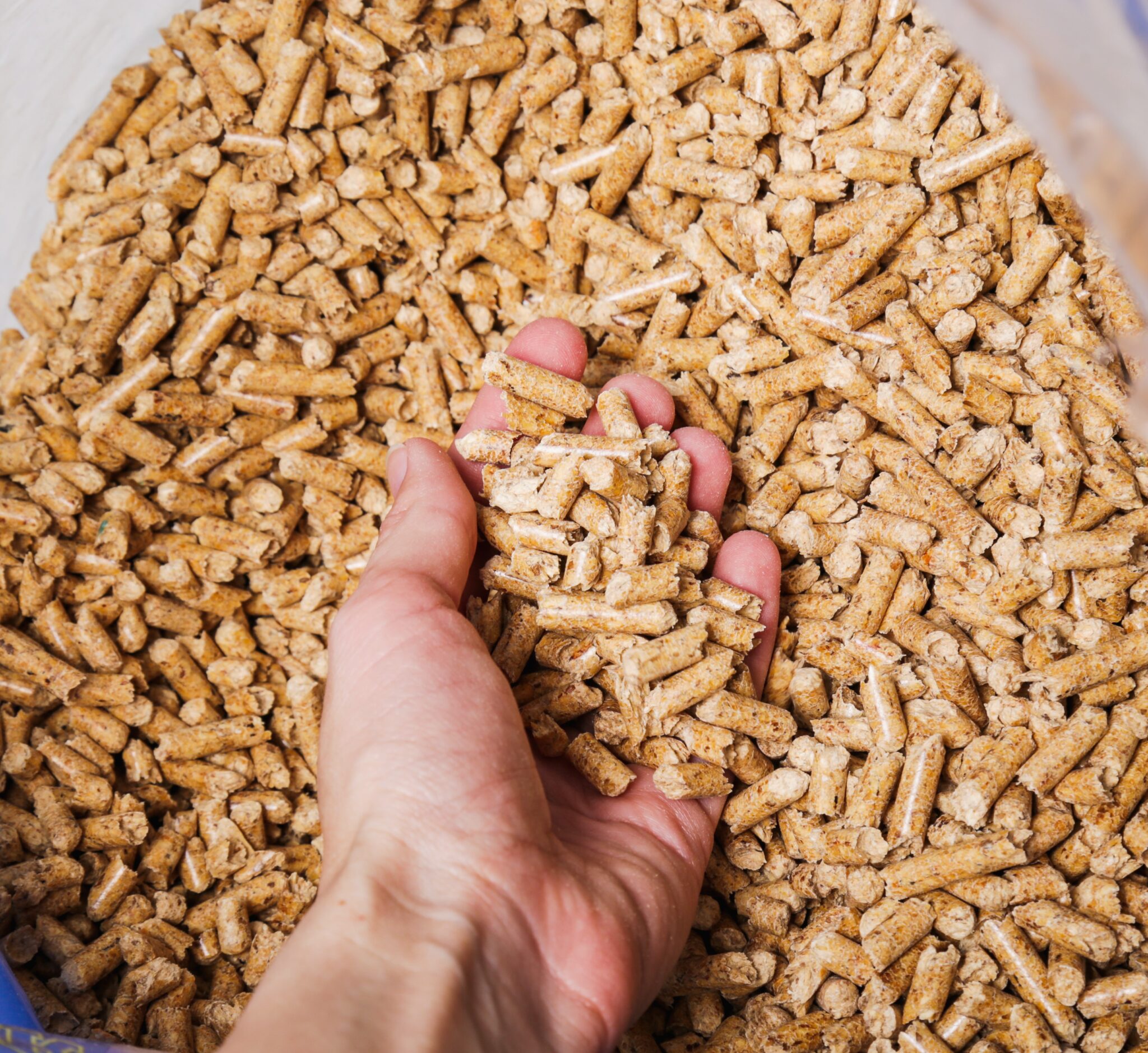 Biomass Pellets for Boilers & Power Plants | Manikaran Power Ltd
